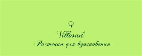 Villasad Питомник растений Villasad Clients Site Саженцы