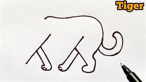 How To Draw A Step By Step Tiger