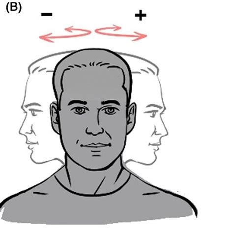Directions Of Positive And Negative Rotations In A Pitch B Roll