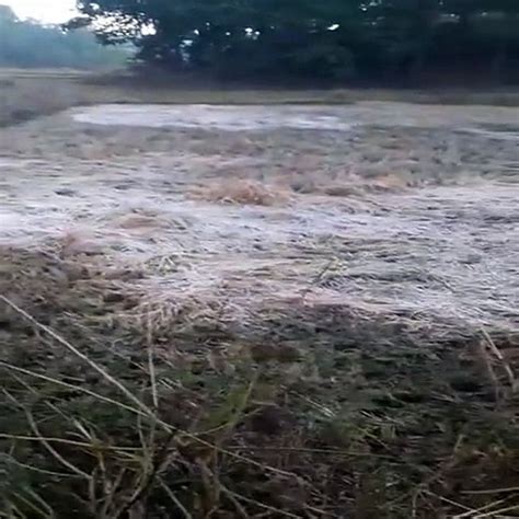छत्तीसगढ़ में कड़ाके की सर्दी बर्फ की सफेद चादर से ढकी चिल्फी घाटी