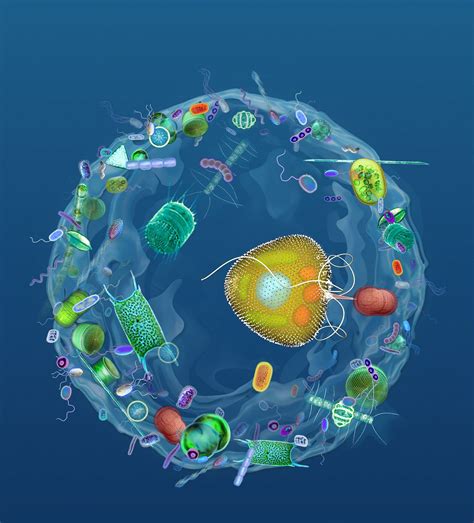 A Marine Microbe Can Be A Biological Weapon Against Climate Change Infobae