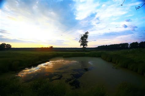 Premium Photo Grass Near The Water At Sunset