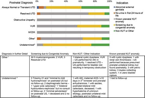 The Antenatal Urinary Tract Dilation Classification System Accurately