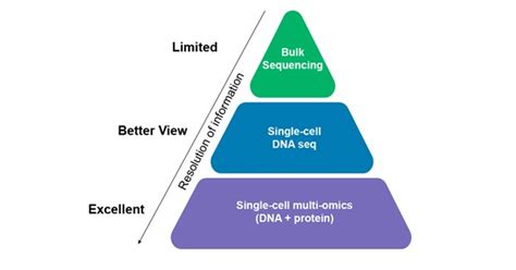 Emerging Cell Analysis Platforms To Propel The Single Cell Multi Omics