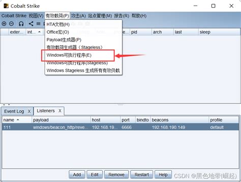 【内网安全 Cs】cobalt Strike启动运行and上线方法and插件 阿里云开发者社区
