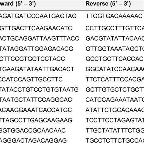 Primer Sequences Used In QRT PCR Download Scientific Diagram