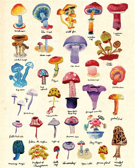 Shrooms Element