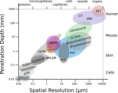 Austrian Bioimaging Correlative Multimodal Imaging Cmi Pipelines