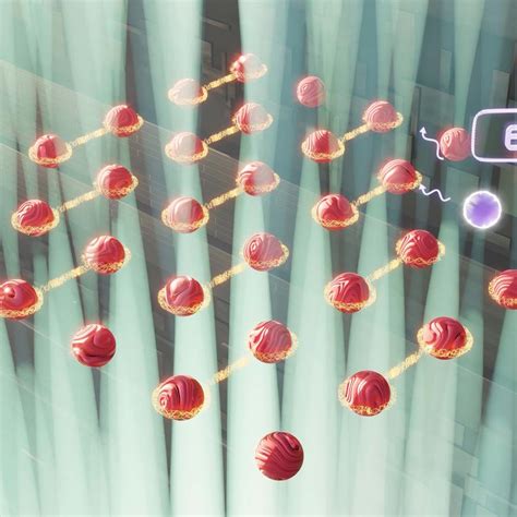 Quantum Information Theory Princeton Quantum Initiative