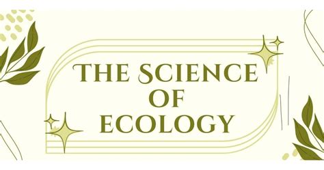 Chapter 1 Rationale With Example Comprehensive Discussion On Chapter