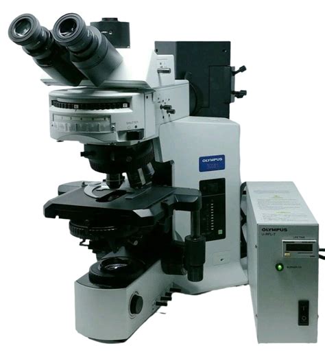 dic nomarski microscopes microscope marketplace
