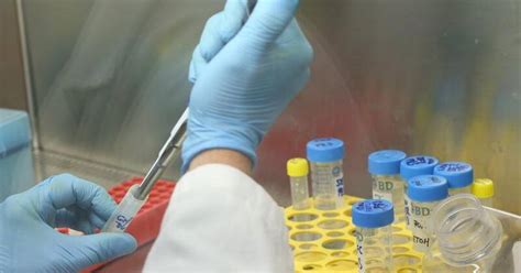 Contamination Concern At Qld Forensic Lab The Canberra Times Canberra ACT