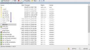 What Is The WordPress Htaccess File