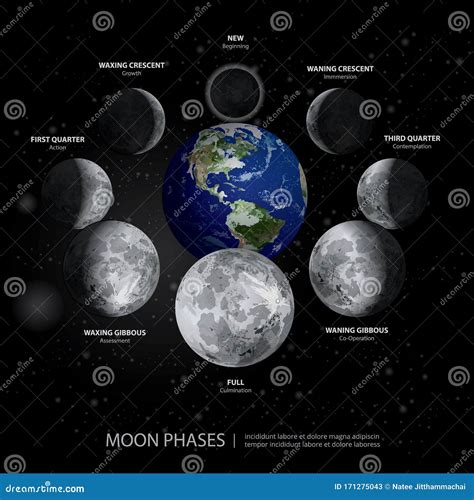 Movements Of The Moon Phases Realistic Stock Vector Illustration Of