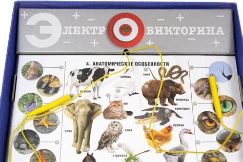 Настольная обучающая электровикторина игра для детей Живая природа ...