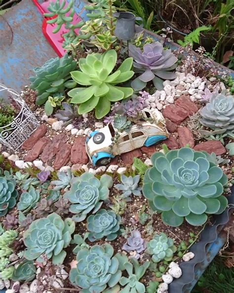 8 Garden Ideas Tropical Landscaping Garden Design Florida Landscaping