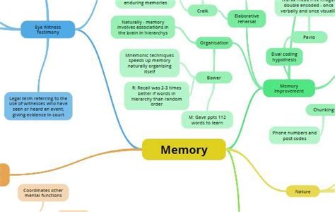 Beautiful Memory Mind Map Cognitive Psychology Mind Map Cognitive