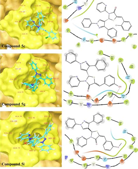 2d And 3d Diagram For Binding Interaction Between Promising Compounds