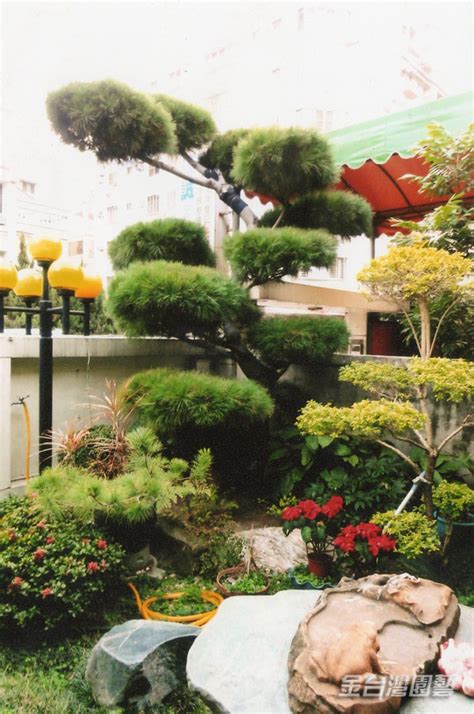 台中園藝工程庭園養護庭園造景綠化工程假山水池花木修剪 金台灣園藝