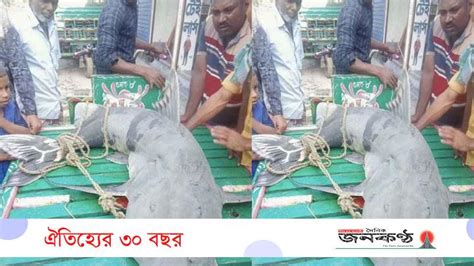 ৭৫ হাজার টাকায় বিক্রি বাঘাইড়