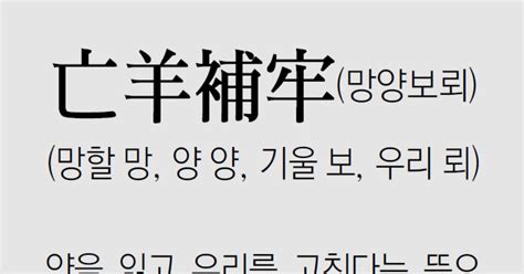 [신문과 놀자 풀어쓰는 한자성어]亡羊補牢 망양보뢰 망할 망 양 양 기울 보 우리 뢰