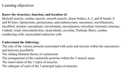 Histology Of Muscle Flashcards Quizlet