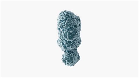 3d chromosome y model turbosquid 2228498