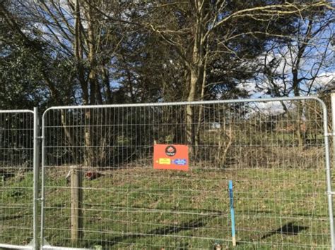 4 Km Of Tree Protection Fencing Climbers Way Tree Care