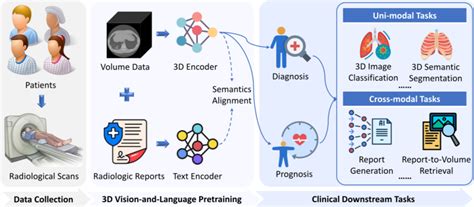 論文レビュー Mg 3d Multi Grained Knowledge Enhanced 3d Medical Vision