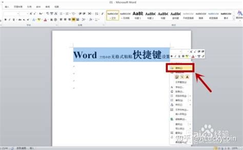 Word文档中设置无格式粘贴快捷键 知乎