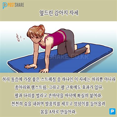 웹툰 허리 통증을 줄여주는 스트레칭 5가지