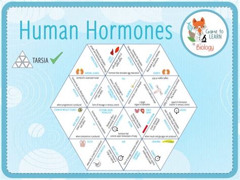 Human Hormones 6x Games And Activities Ks4ks5 Teaching Resources