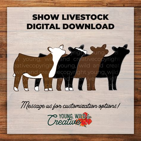 Show Heifer Digital Download Livestock Digital Download Show Livestock
