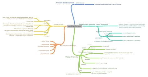 Mendelian Genetics Concept Map Schemes And Mind Maps Genetics Docsity