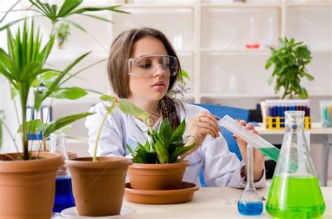 在實驗室工作的年輕有吸引力的生物化學家 照片圖片素材 圖片尺寸10000 × 6620px 高清圖案352167162