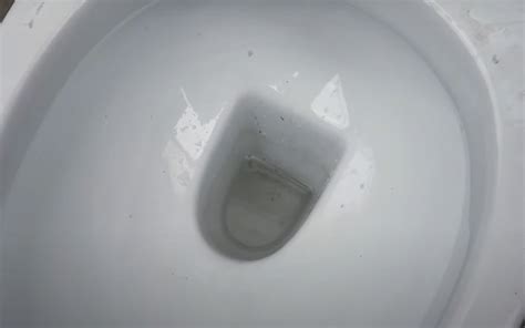 了解4個塞渠特徵 教你2招通渠法一泵暢通無阻 生活 香港格價網 Hk