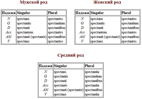 Причастия. Образование и склонение причастий.