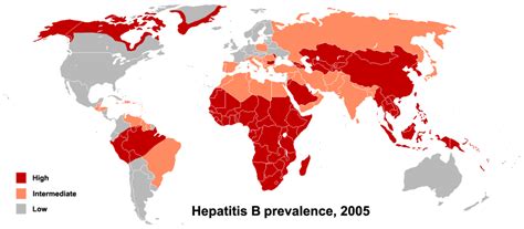 Hepatitis B Map