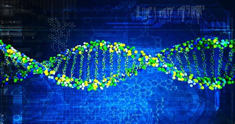 Understanding The Structure And Function Of Rna