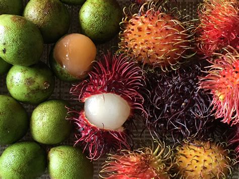 Lychee Indonesia Twin Fruit