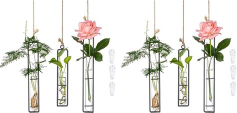 Amazon de Glasseam Reagenzglas Vase Glas Vasen Set 6 Stück