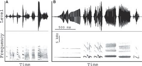 Waveforms Upper Panel And Spectrograms Lower Panel Of Songs From A Download Scientific