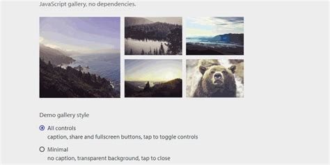 Photoswipe Javascript Image Gallery Plugin Javascript Plugins Gallery
