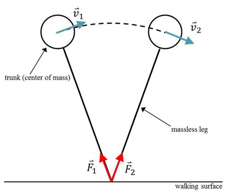 Inverted Pendulum Free Body Diagram