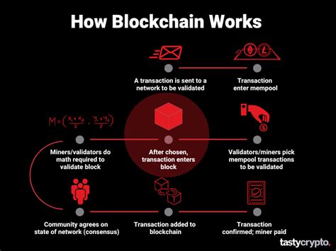 Crypto Glossary Terms And Definitions For Beginners Tastycrypto
