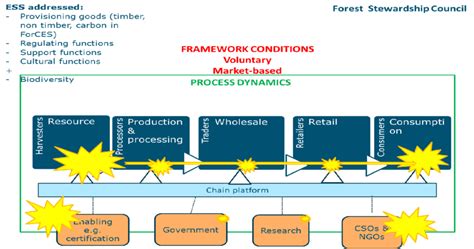 FSC And Innovations In The International Tropical Timber Value Chain Download Scientific Diagram
