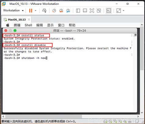 Vmware16pro中安装的macos1113禁用系统完整性保护（rootless）虚拟机管理程序保护的代码完整性禁用 Csdn博客