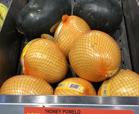 Plastic And Plastic Netting R Anticonsumption