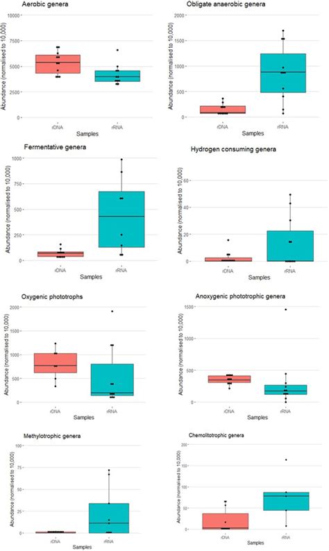 Boxplot Of The Relative Abundance Of Bacterial Genera Except For Download Scientific Diagram